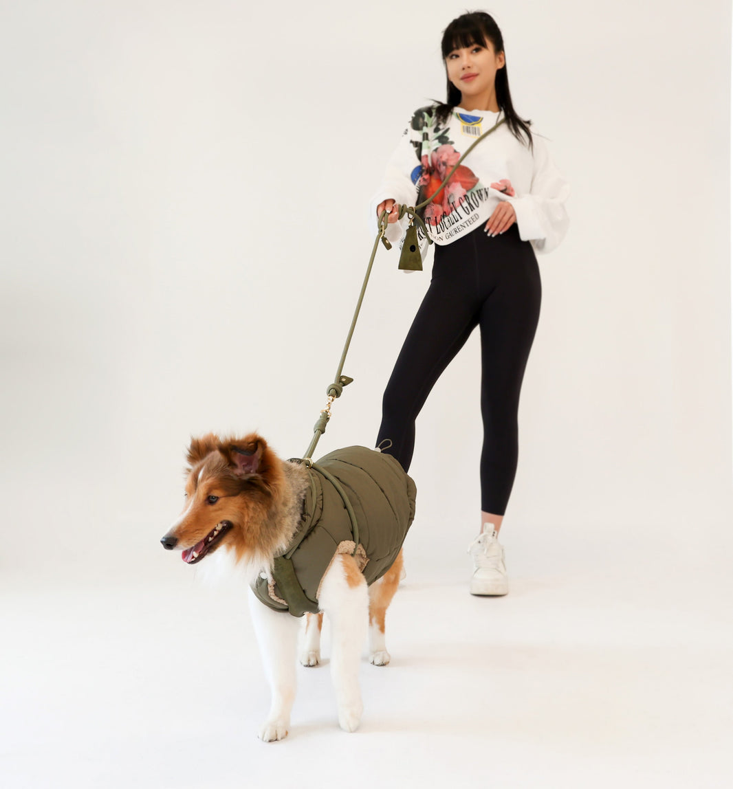 Hozi dog leash – Le Chien Bleu NY