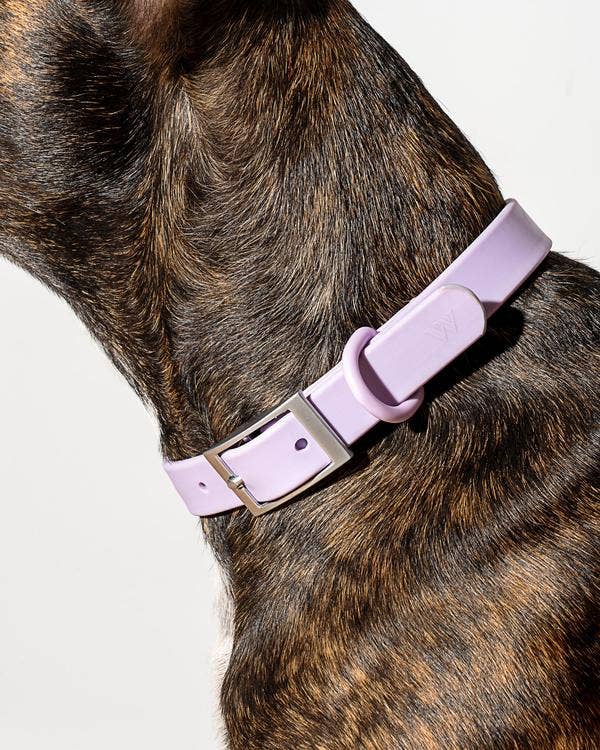 Lilac Collar – Le Chien Bleu NY