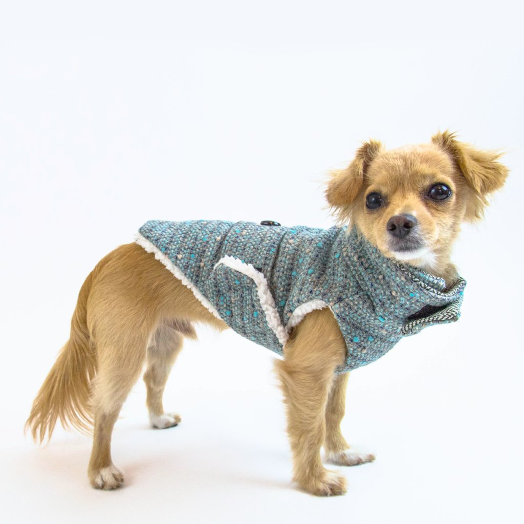 Bark Jacobs Bleu – Le Chien Bleu NY