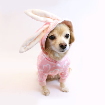Luxury Pet Clothing Store – Le Chien Bleu NY